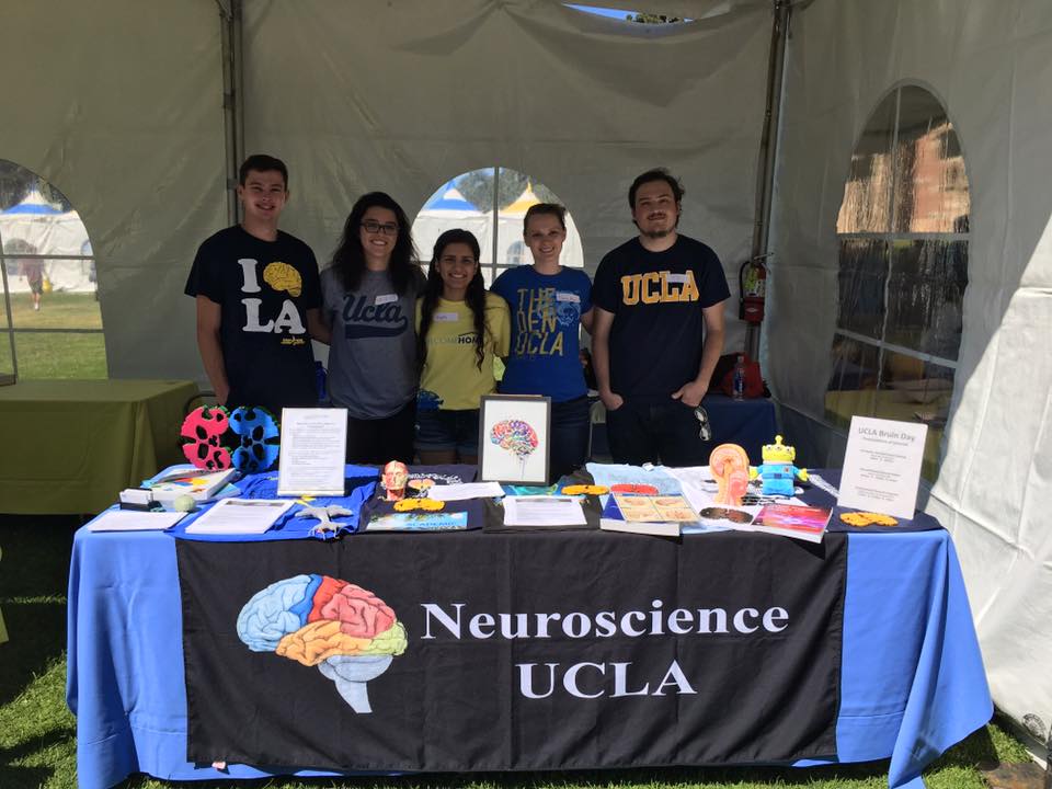 Prospective Students – Undergraduate Neuroscience Interdepartmental Program