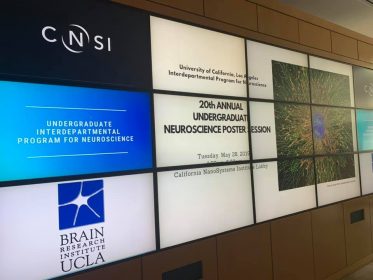 Opportunities – Undergraduate Neuroscience Interdepartmental Program