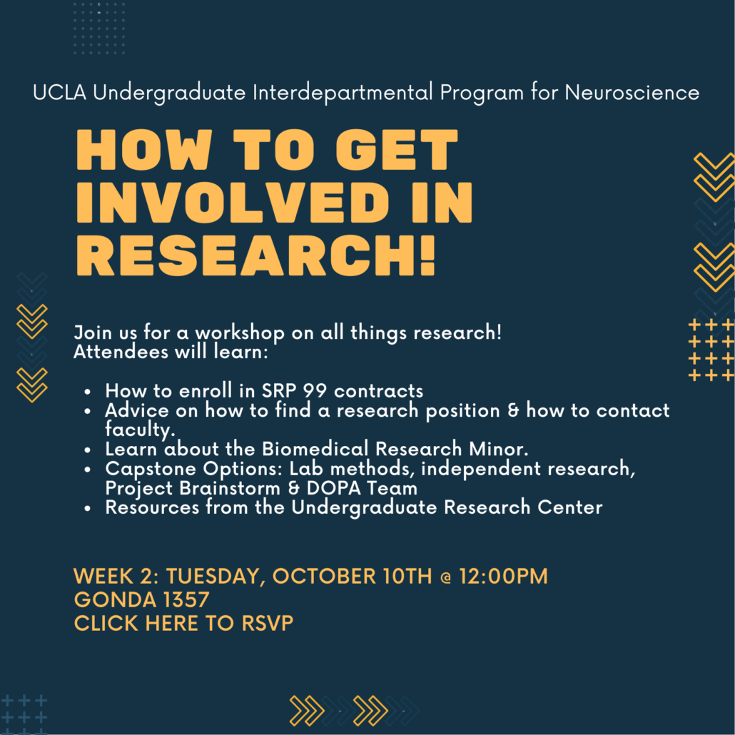 How to Get Involved in Research – Undergraduate Neuroscience Interdepartmental Program