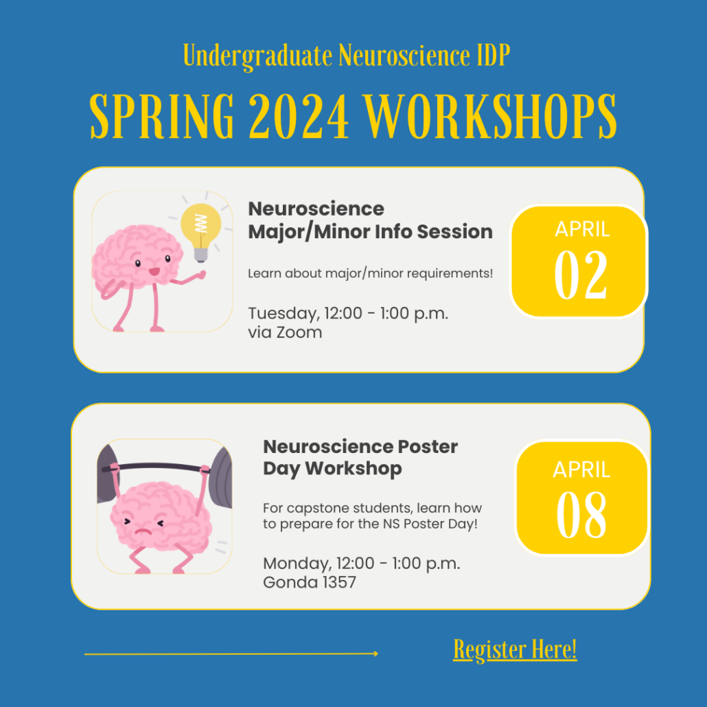 Neuroscience Major/Minor Information Session – Undergraduate ...